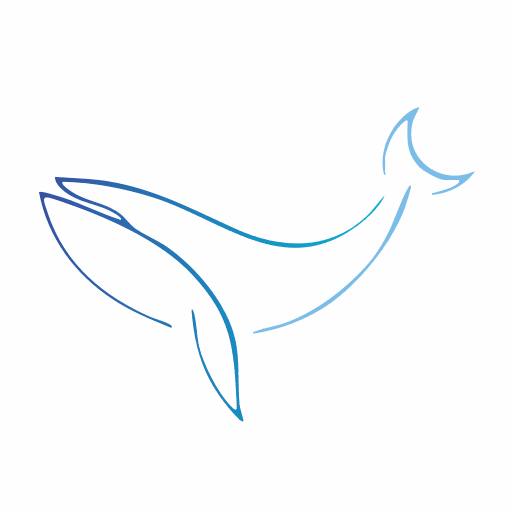 City Angle Geo Quiz - VisitWhale